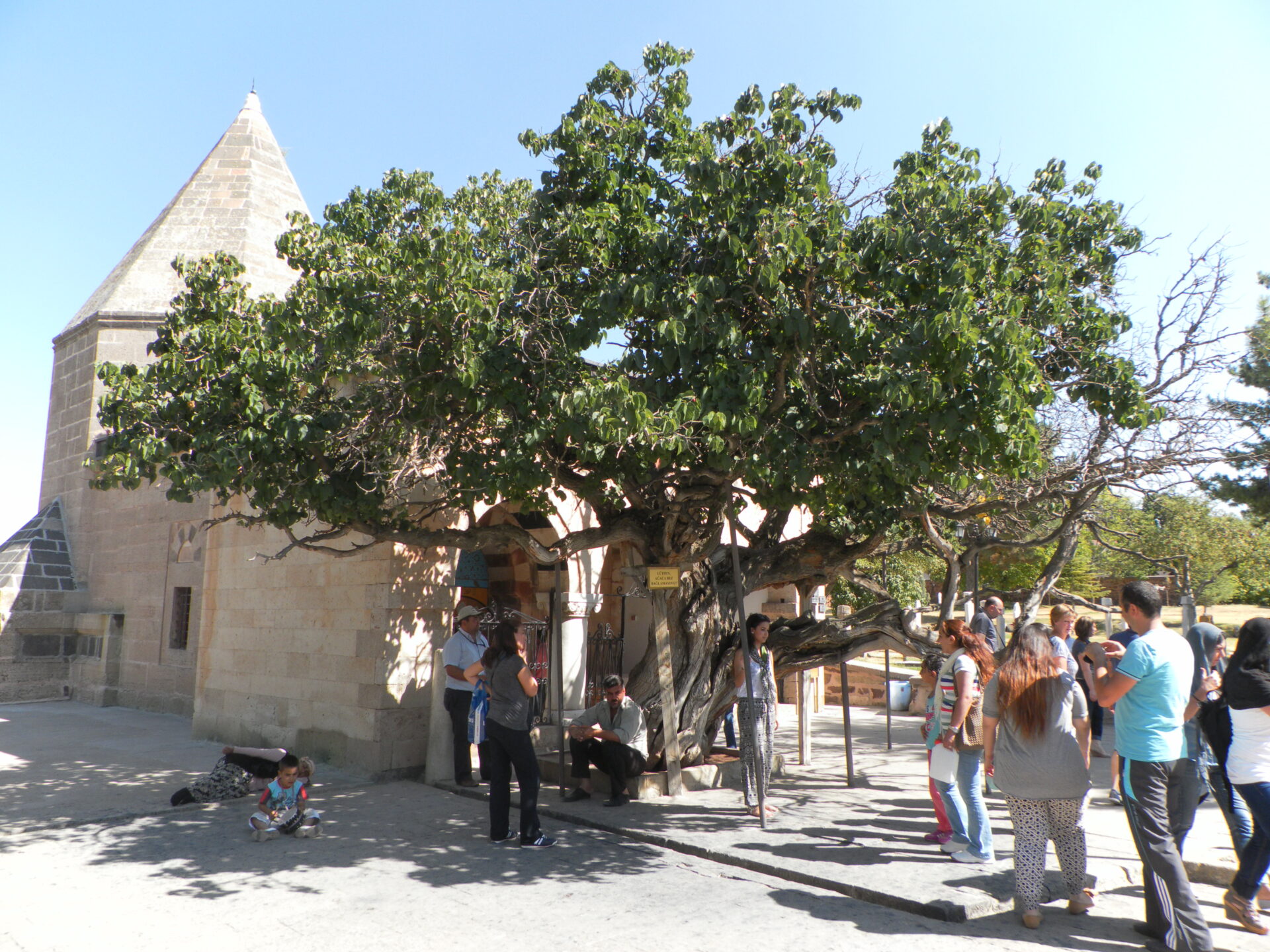“God is in de mens”. Nieuw boek over de religieuze wortels van mijn ...