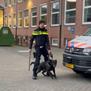 Groningen: politie sleept solidaire studenten met geweld uit Academie ...